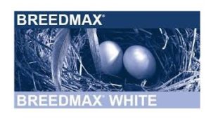 Breedmax white 500gr – The Canary Finch Store