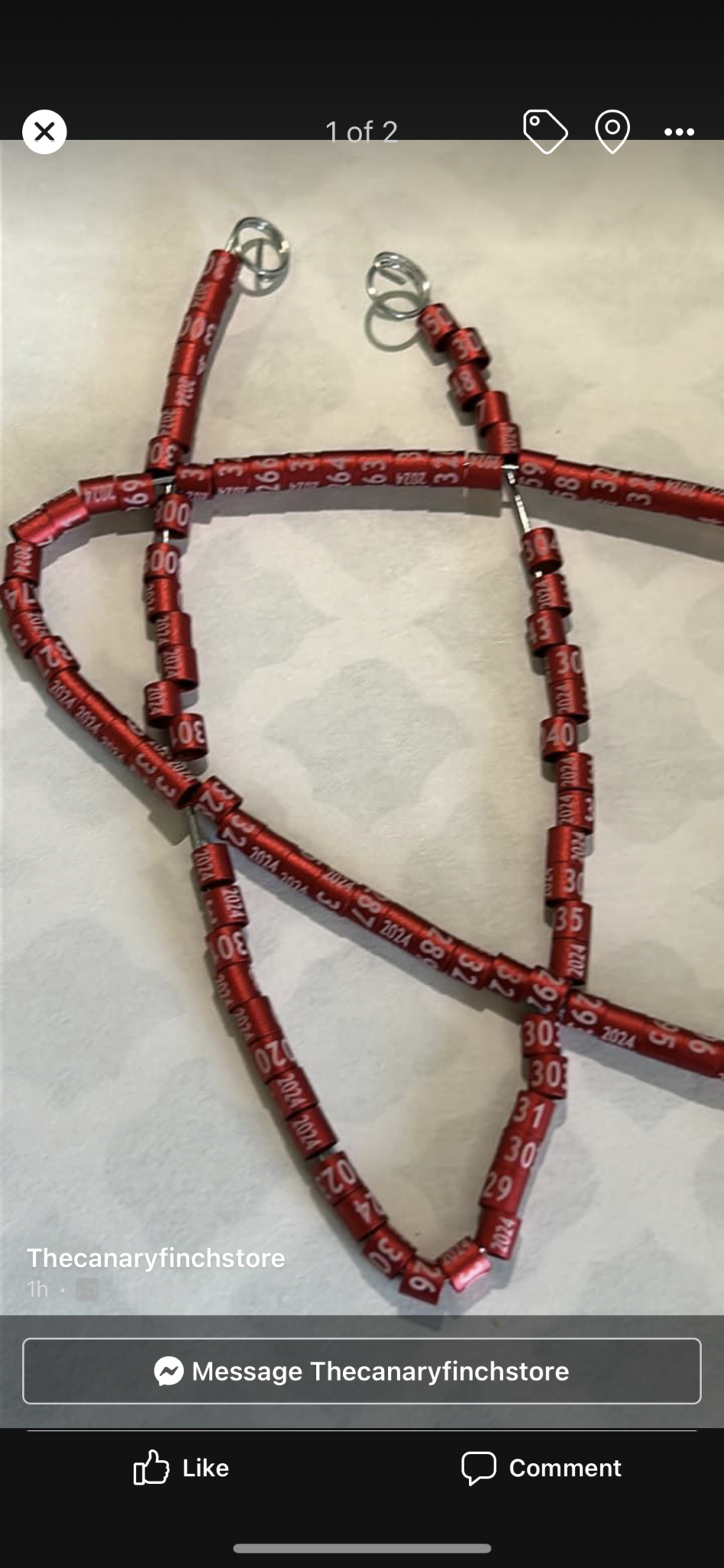 Canary leg Bands 2024 – The Canary Finch Store