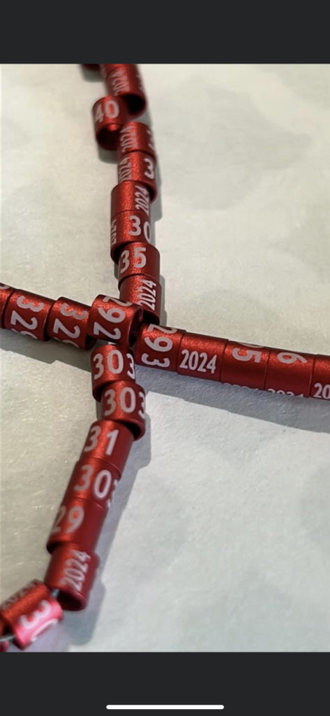 Canary leg Bands 2024 – The Canary Finch Store